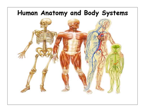 Module 10 - Test - Module 10 – Assisting with Medications Answers 1 ...