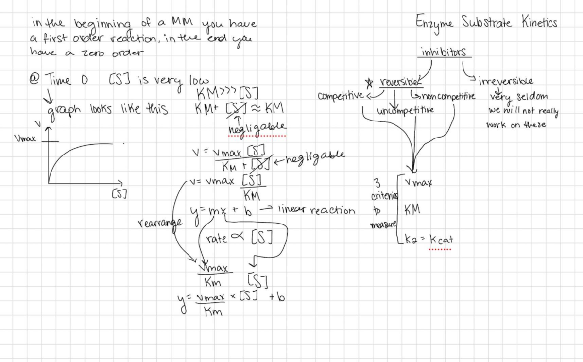 Final Exam Study Guide for BIO 101: Enzyme Kinetics Overview - Studocu