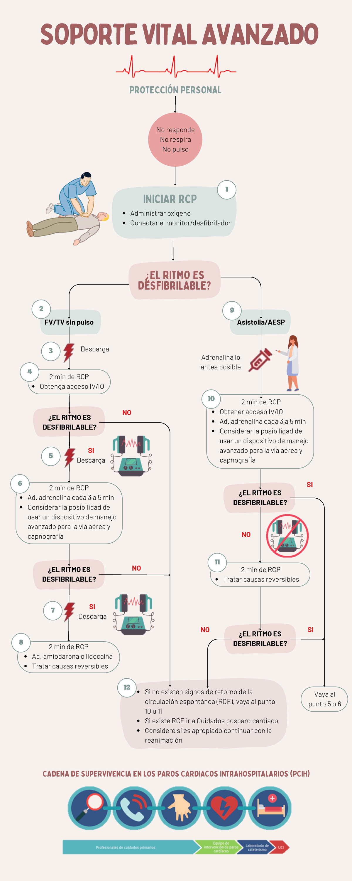 Infografía RCP Avanzado - FV/TV sin pulso Asistolia/AESP 2 min de RCP ...