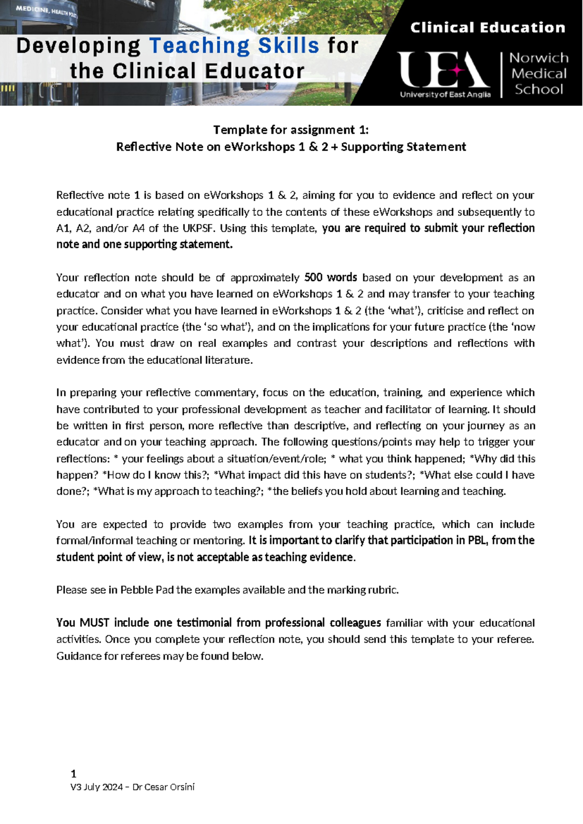DTSCE Assignment 1: Reflective Note & Supporting Statement Template ...