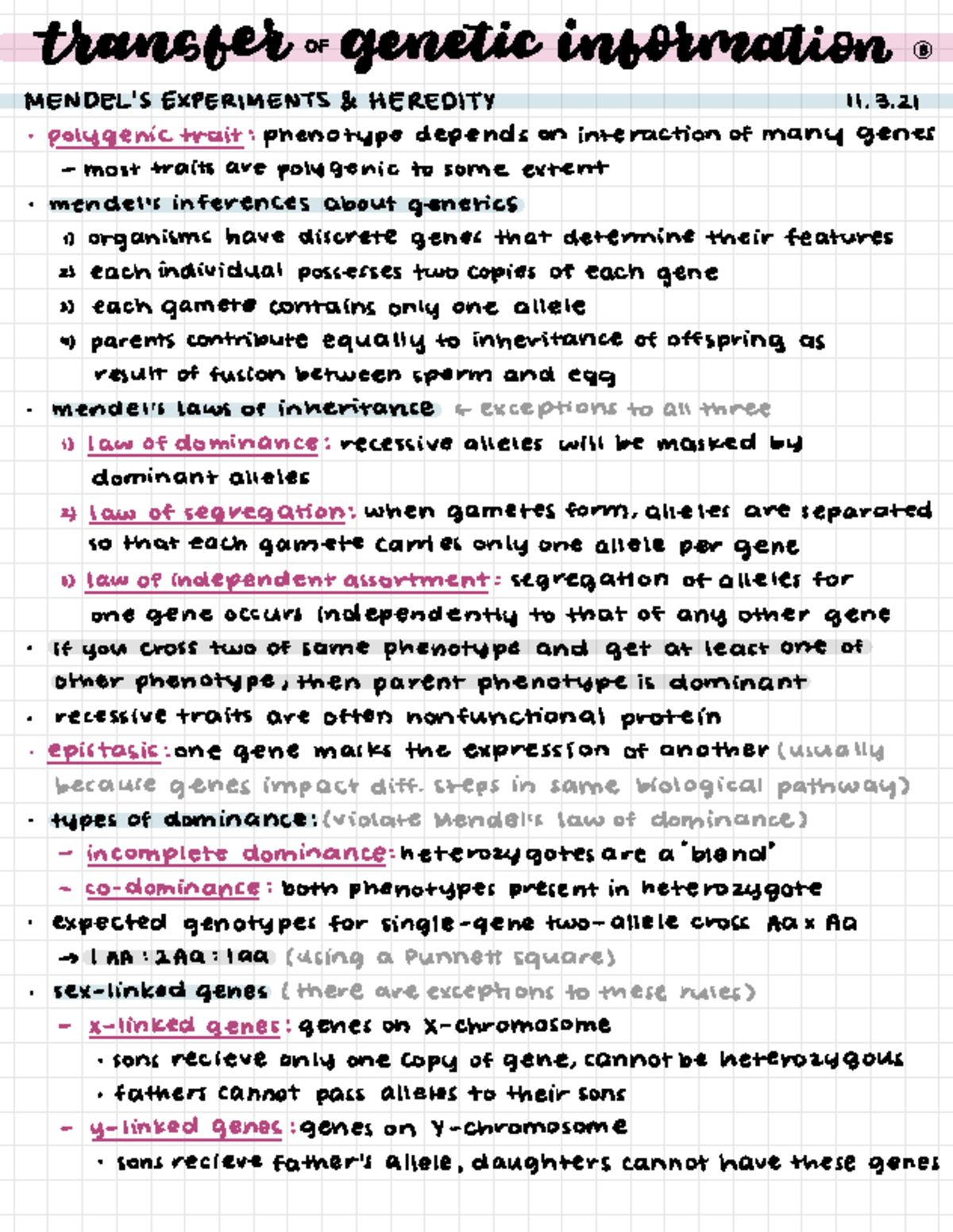 AP Biology Notes - Mendelian Genetics & Cell Cycle Overview - Studocu