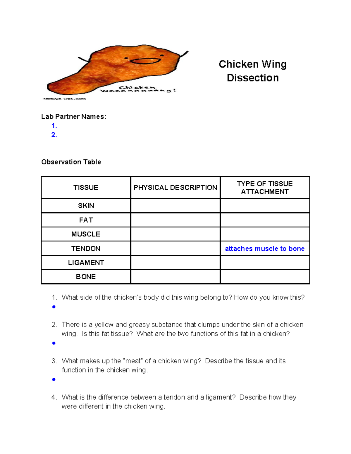 Chicken Wing Dissection Lab: Observations and Tissue Analysis - Studocu