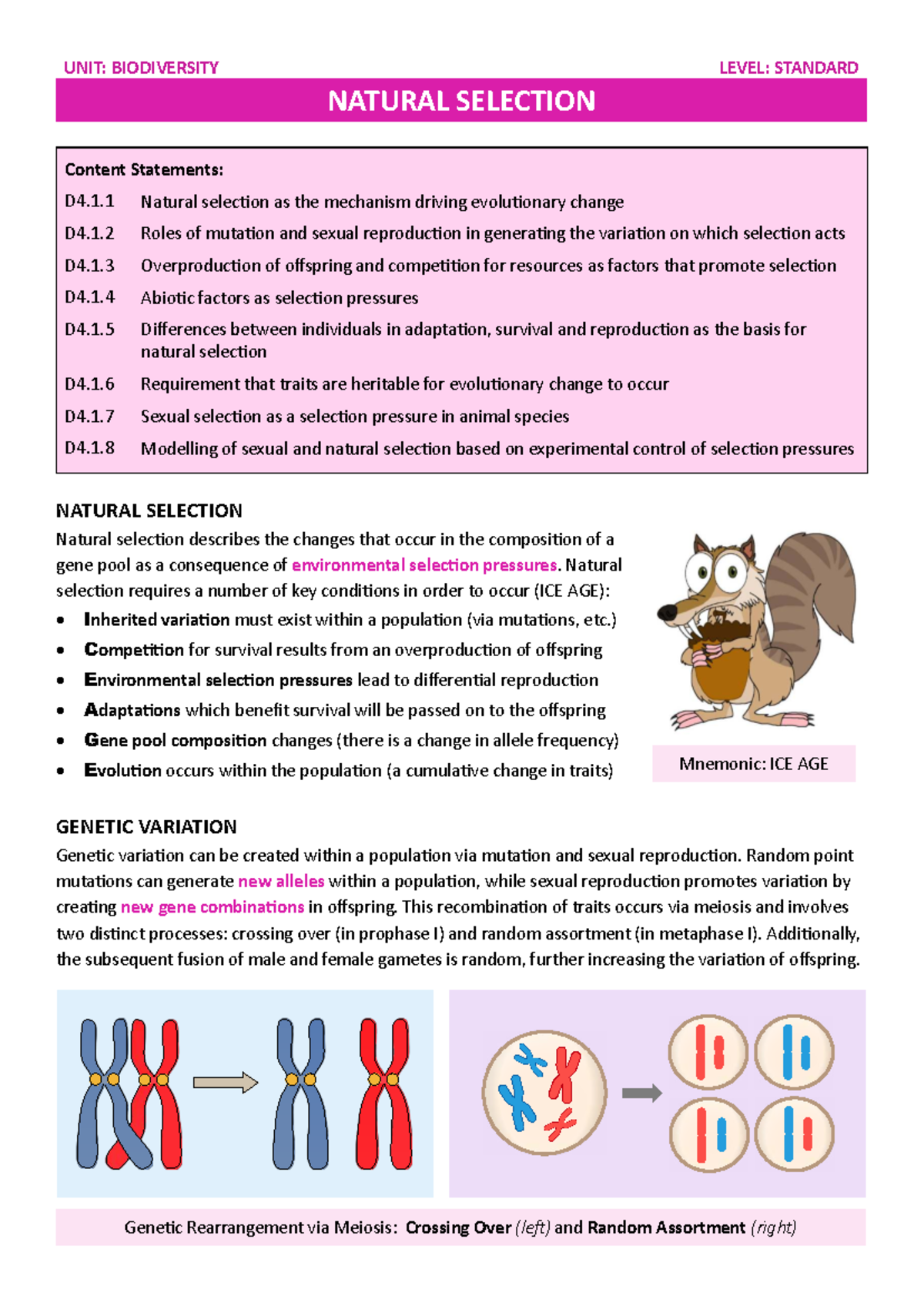 Understanding Natural Selection in Biodiversity: Key Concepts (BIO 101 ...