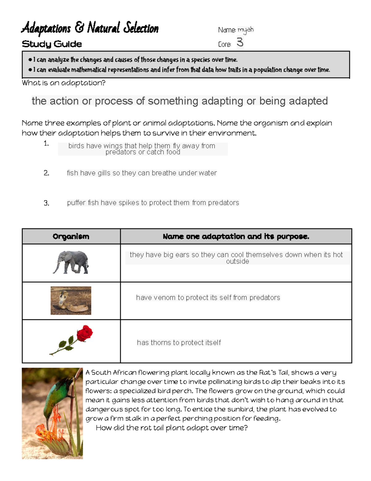 Study Guide: Adaptations & Natural Selection (BIO 101) - Studocu