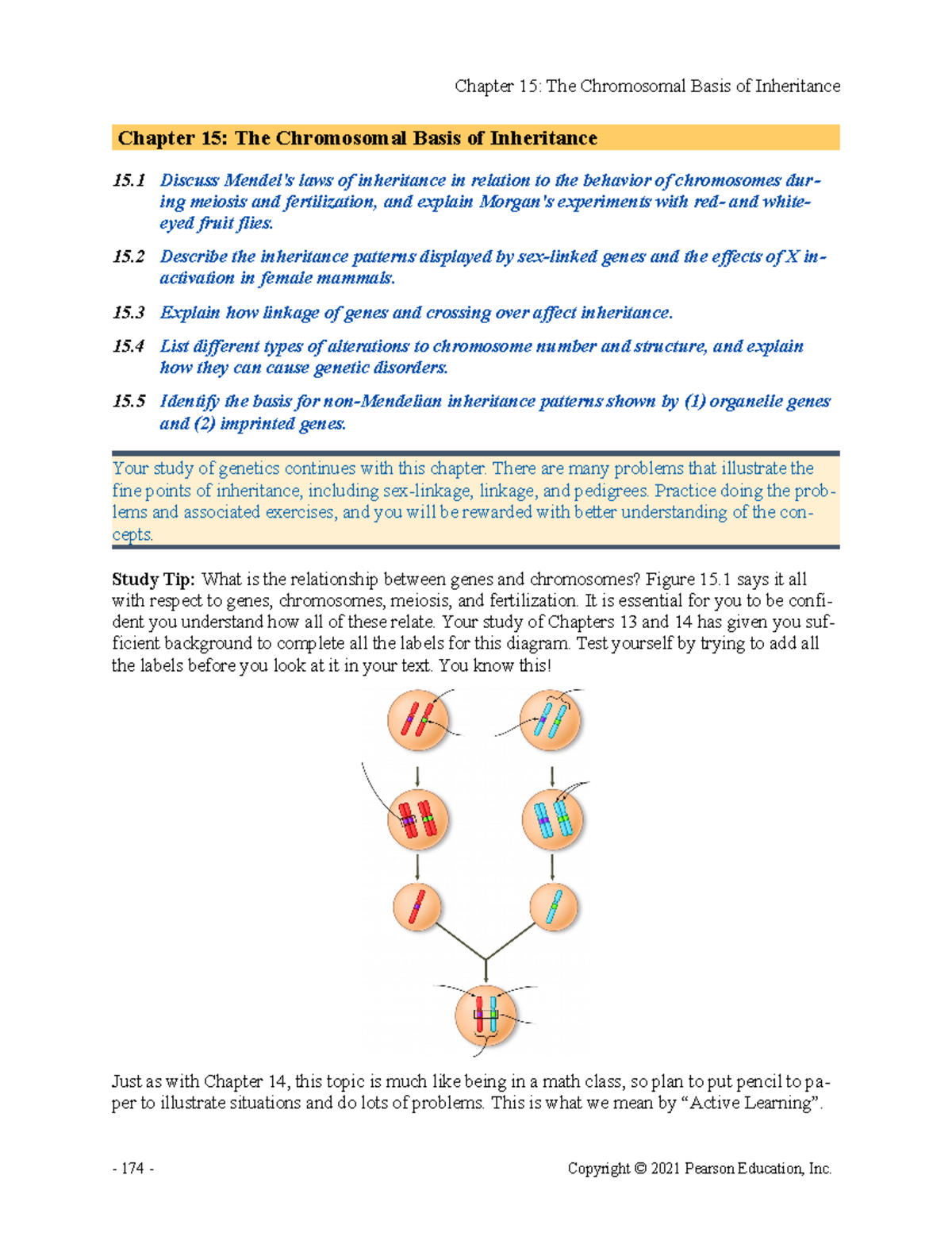 Bio12 ARG 15 - Chapter 15: The Chromosomal Basis of Inheritance - Studocu