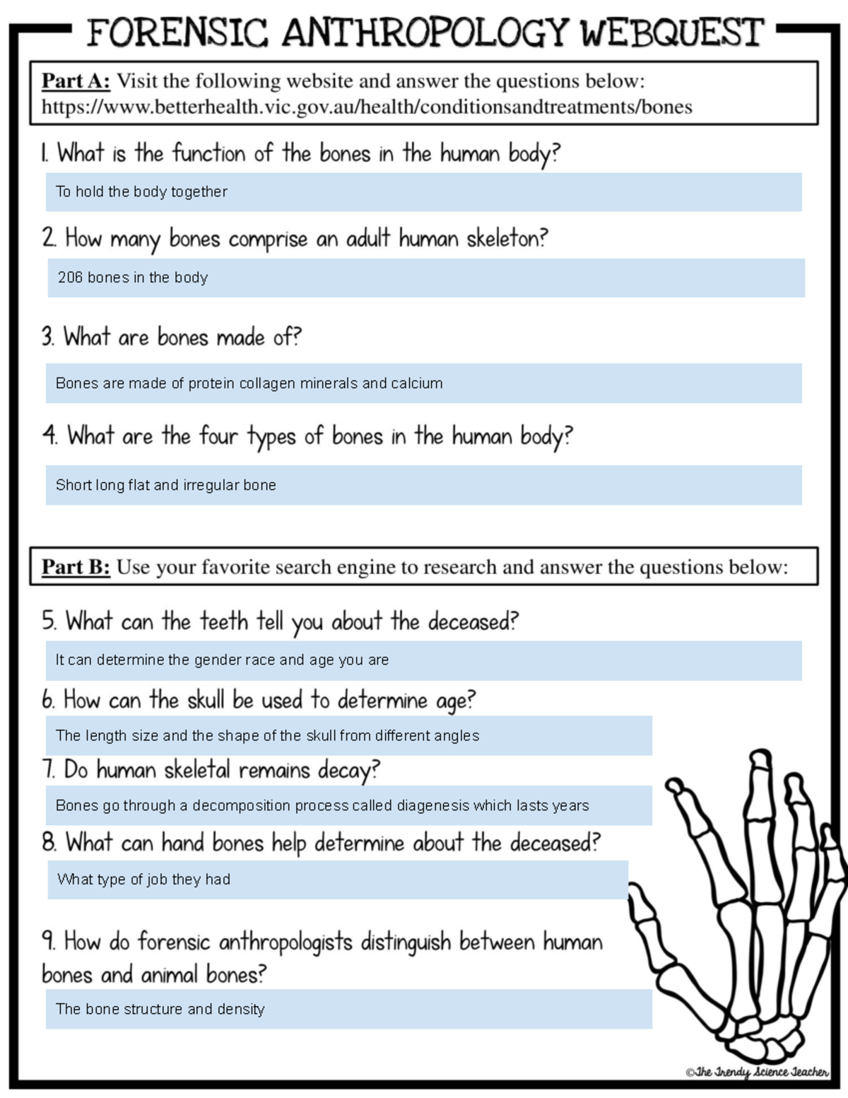 Forensic Anthropology WebQuest: Exploring Bone Structure & Analysis ...
