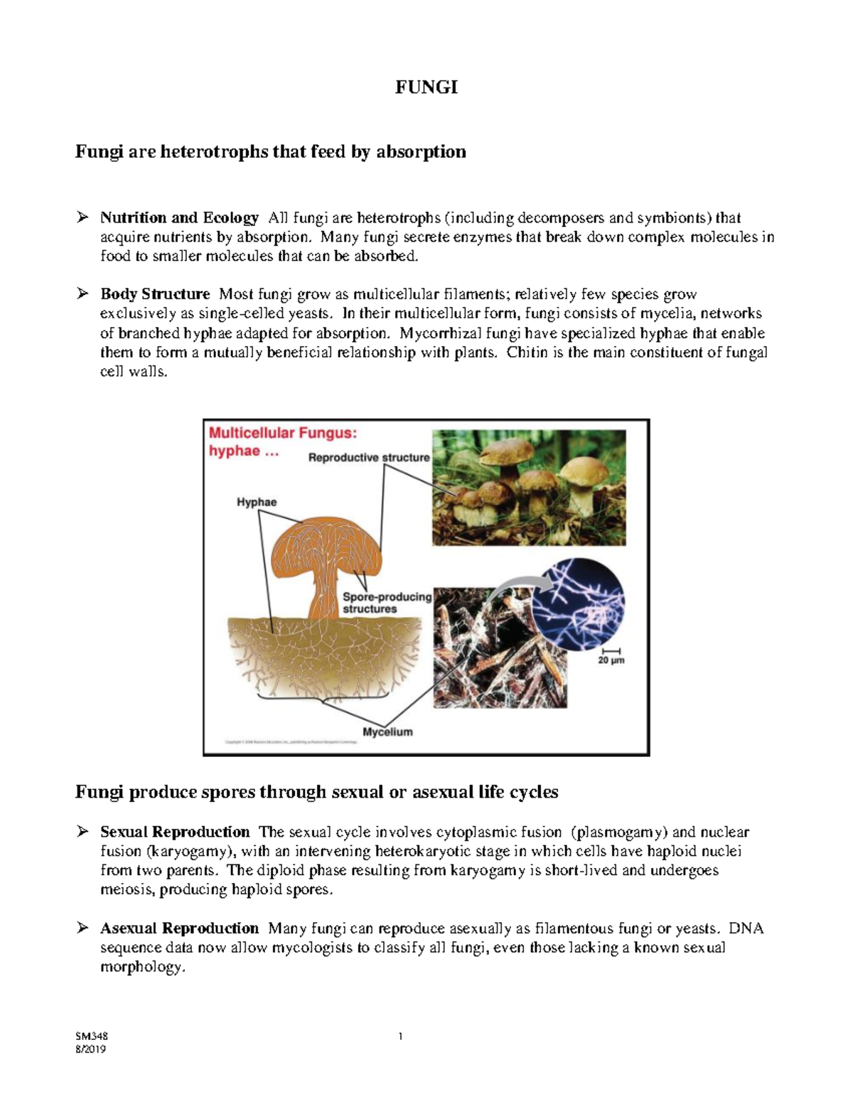 Ch 31 Fungi Overview and Ecology SM348 - Studocu