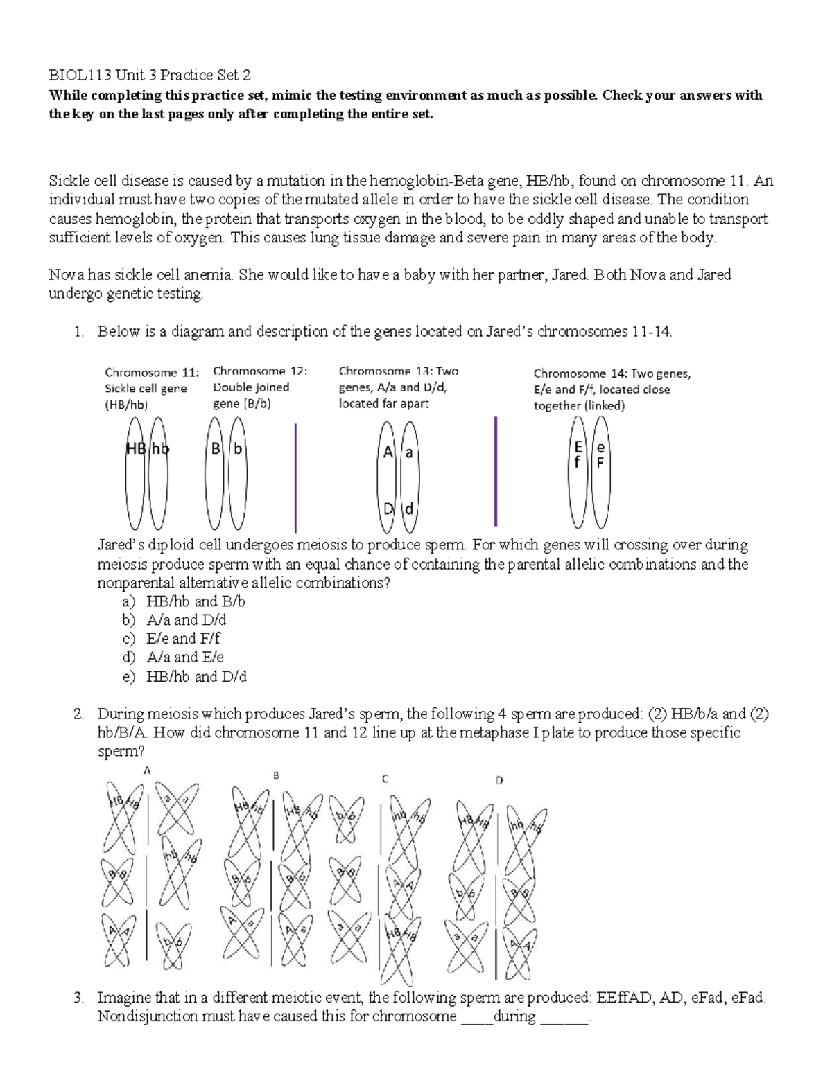 BIOL113 Unit 3 Genetics Practice Set 2: Sickle Cell Disease Insights ...