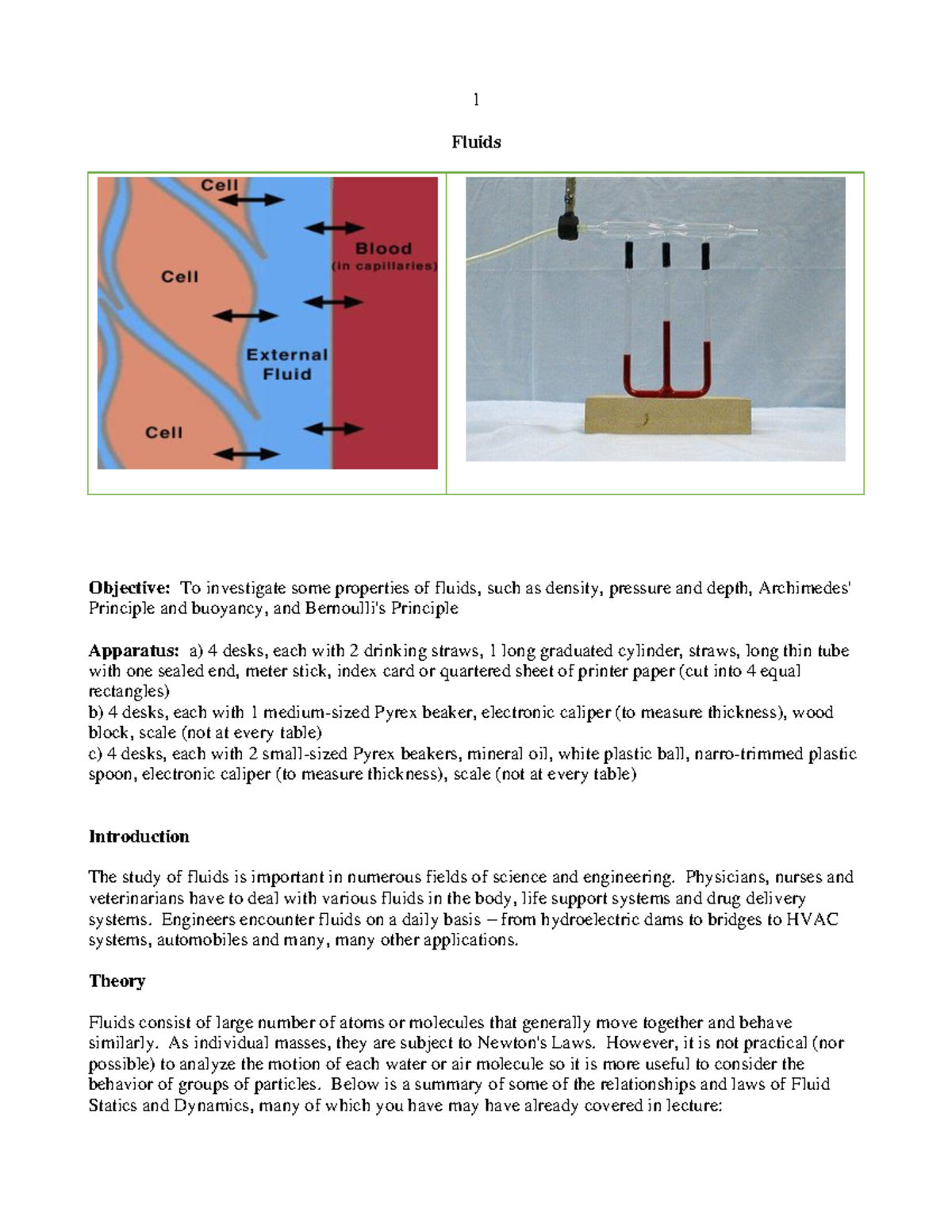 Fluid Properties and Experiments: Density, Buoyancy, and Bernoulli's ...