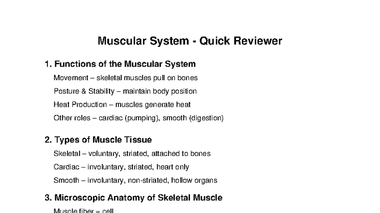 Muscular System Quick Review: Functions, Types, and Anatomy - Studocu