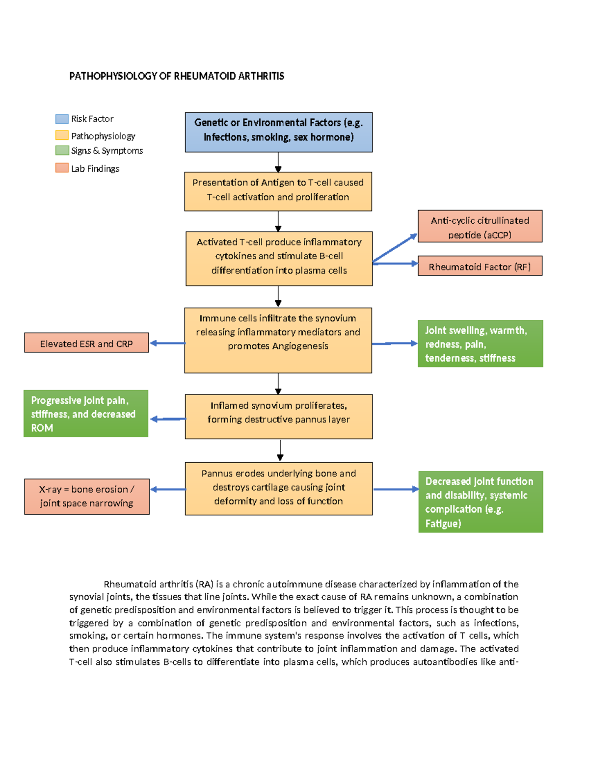 RA Pathophysiology - PATHOPHYSIOLOGY OF RHEUMATOID ARTHRITIS Rheumatoid ...