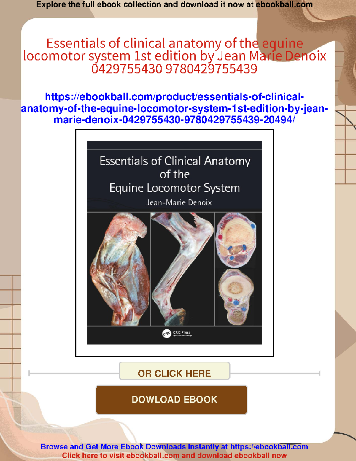 Essentials of clinical anatomy of the equine locomotor system 1st ...
