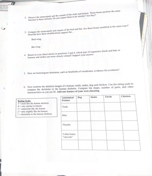 Webquest - Darwin and Evolution - Webquest – Darwin and Evolution ...