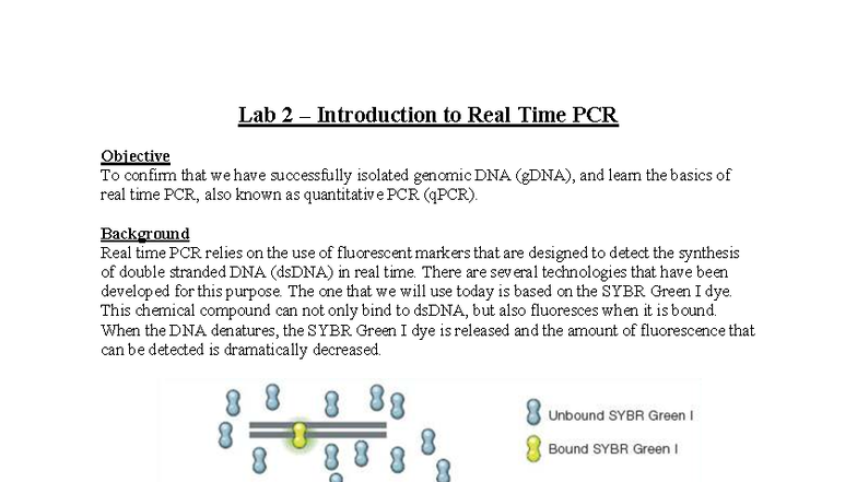 Lab 2: Intro to Real-Time PCR & gDNA Isolation Techniques - Studocu