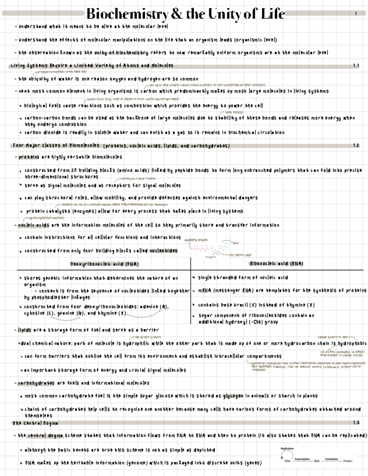 BCH 100 Chapter 1 Notes - Biochemistry & the Unity of Life 1 ...