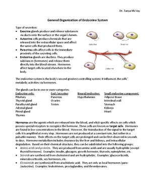 Hormone Interactions: Types & Examples - L6 Biology Notes - Studocu