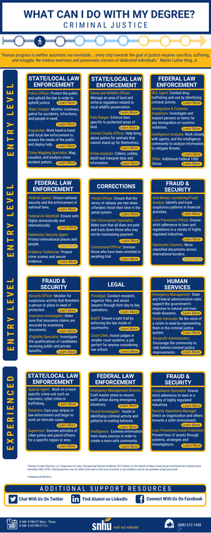 CJ 120 Module Two Practice Activity Template - (A text-only version of ...