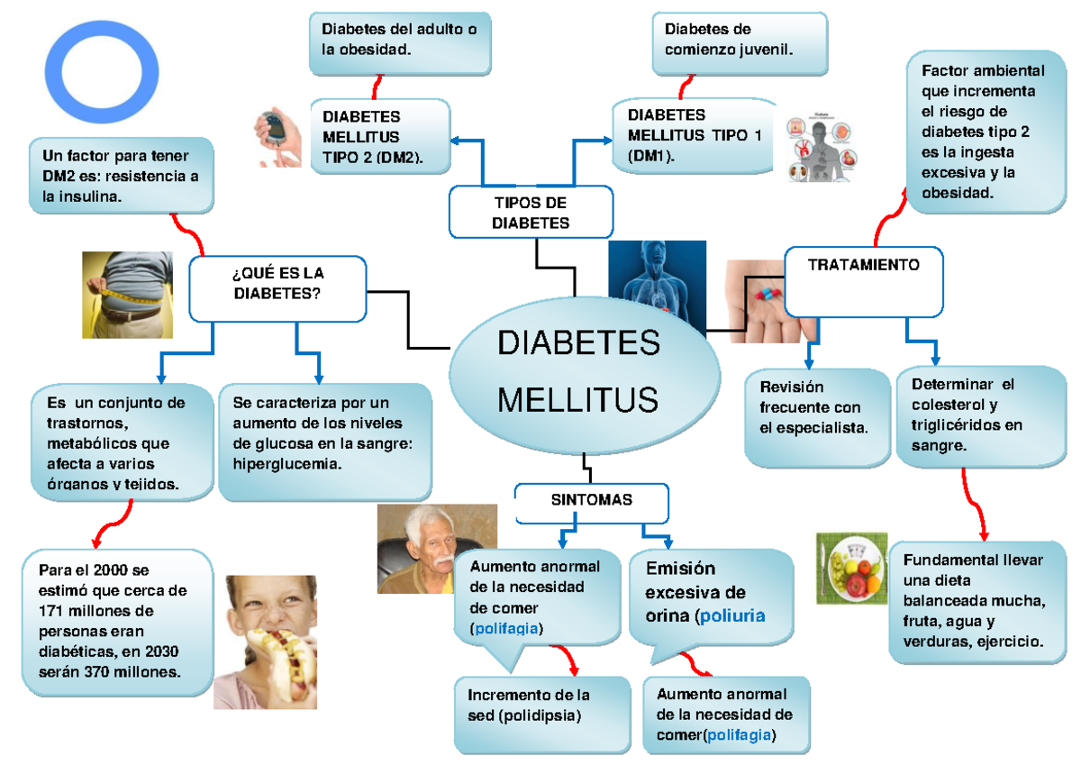 Mapa mental - DIABETES MELLITUS TIPOS DE DIABETES ¿QUÉ ES LA DIABETES ...