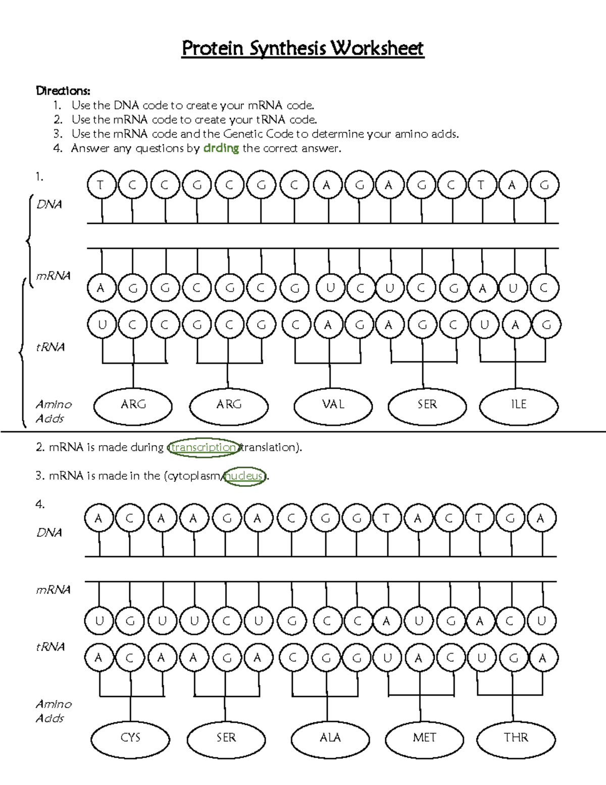 Protein Synthesis Worksheet & Answer Key: Concept Review - Studocu