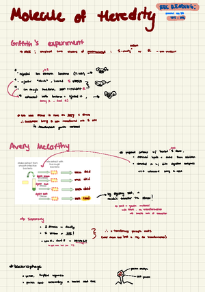 Cisactive and Transactive - Cis-acting Elements vs. Trans-acting ...