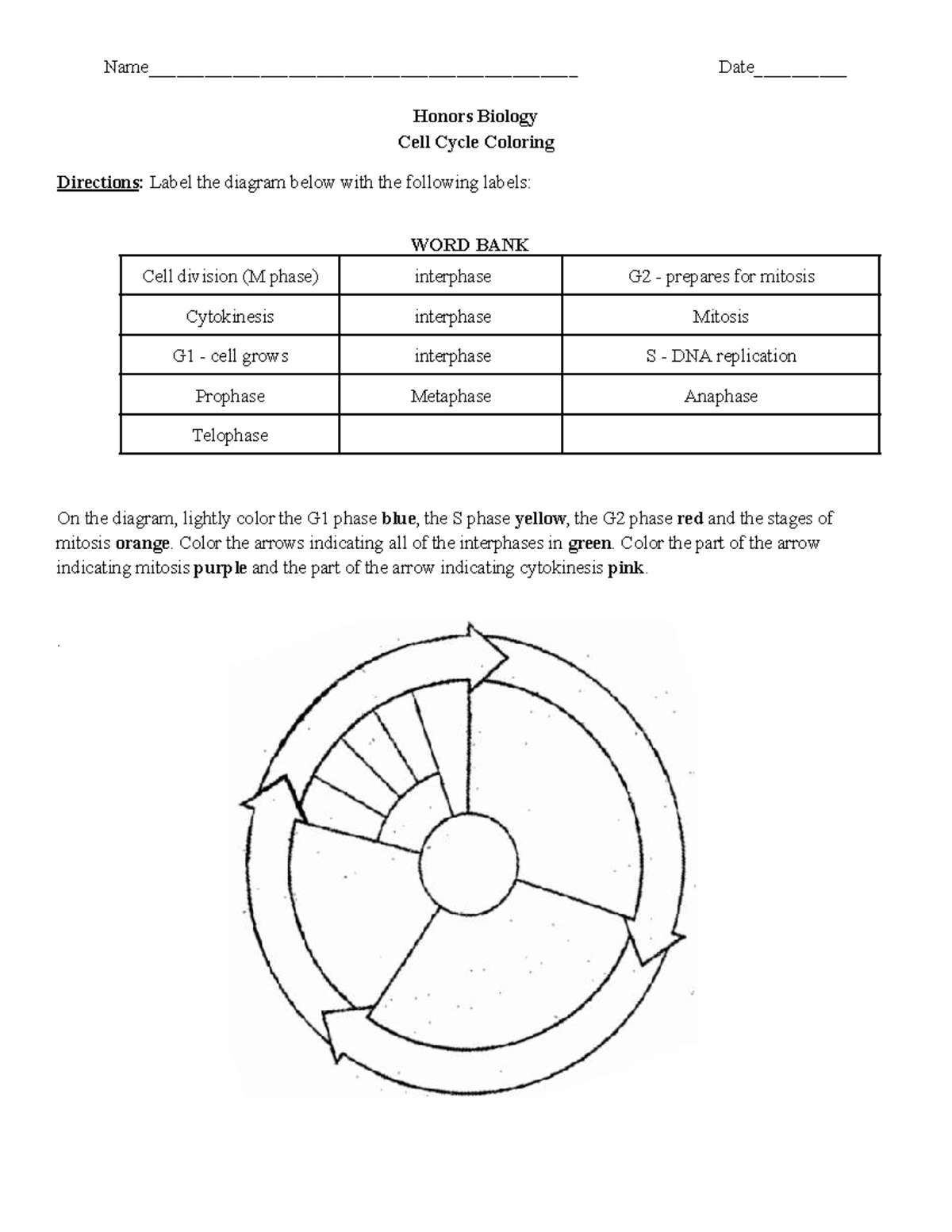 Honors Biology: Cell Cycle Coloring Directions & Diagram - Studocu