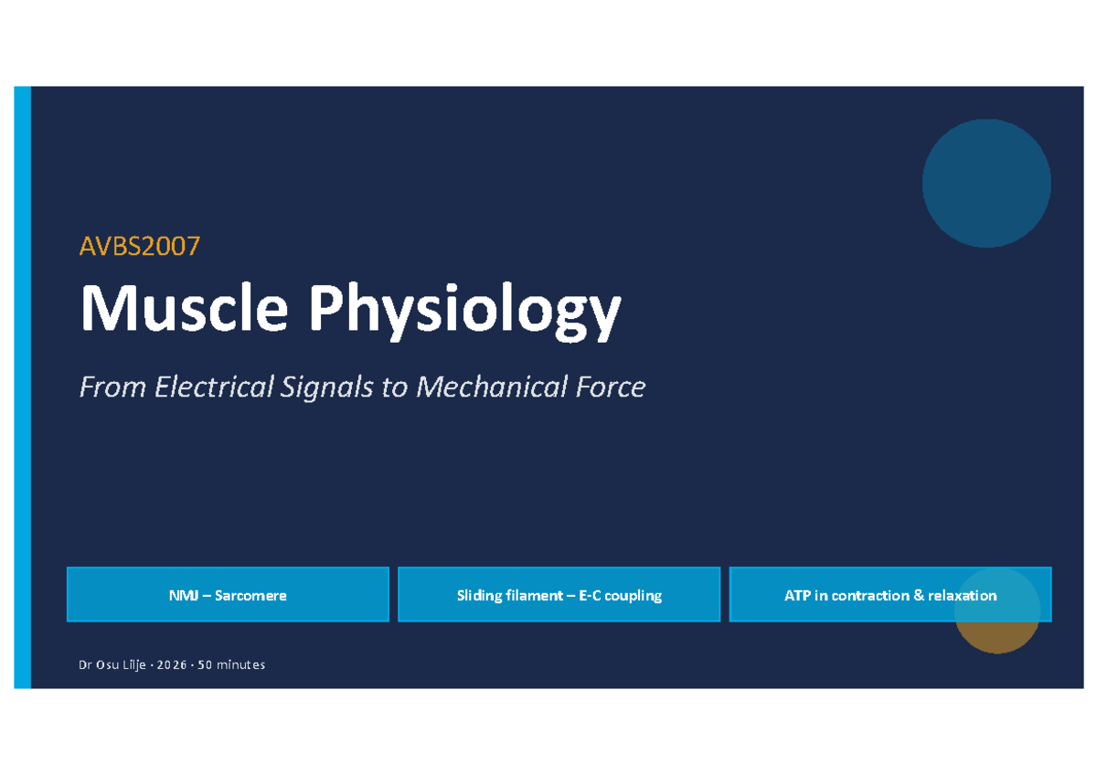 AVBS2007 Muscle Physiology Lecture: From NMJ to Contraction Dynamics ...
