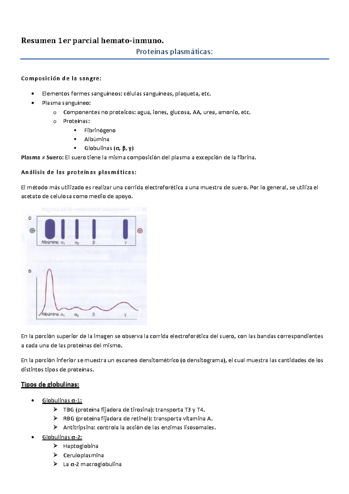 Estructura y Funciones de la Hemoglobina: Análisis Detallado - Studocu