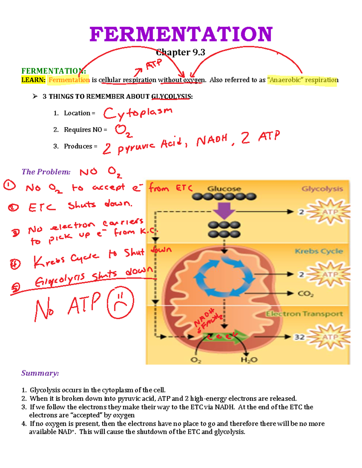 Fermentation Pathways: Alcoholic & Lactic Acid Processes in Chapter 9.3 ...