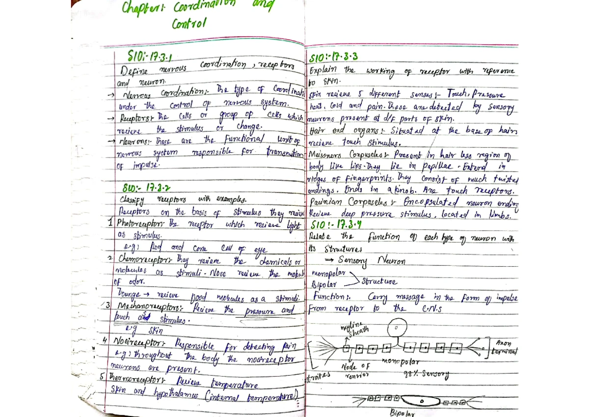 Gene Mutation and Aberration Notes - Class 12 Biology - Studocu