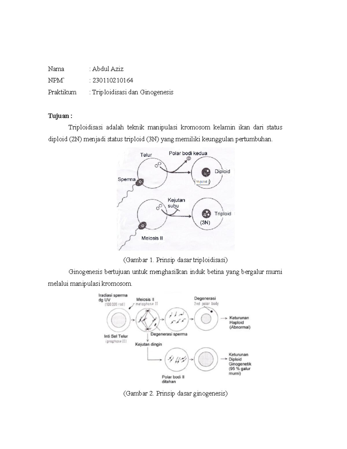 164 Artikel Triploidisasi dan Ginogenesis - Nama : Abdul Aziz NPM ...