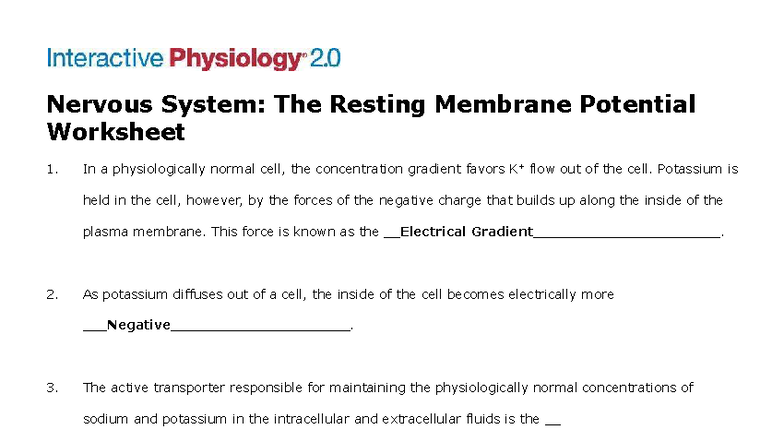 Nervous System: Resting Membrane Potential Worksheet (Karen P) - Studocu