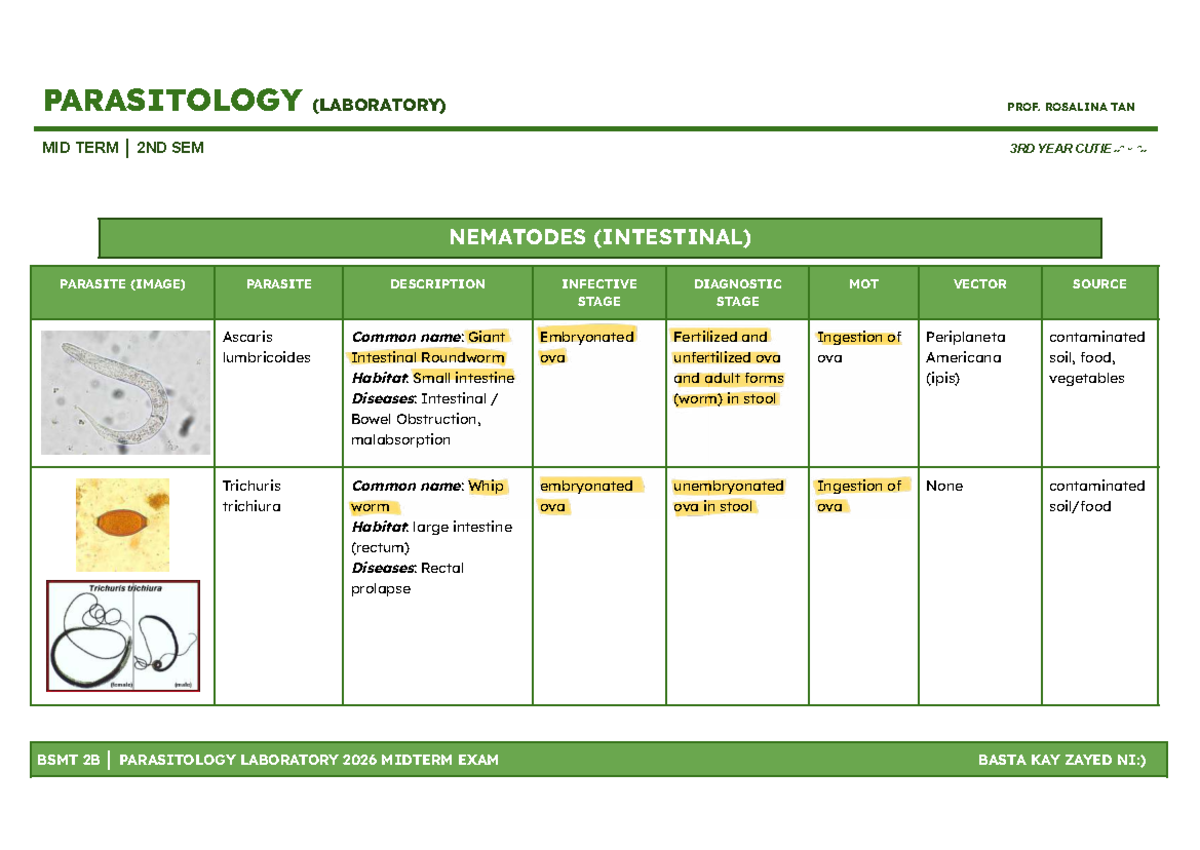 BSMT 2B PARASITOLOGY LAB MIDTERM NOTES ON NEMATODES 2026 - Studocu