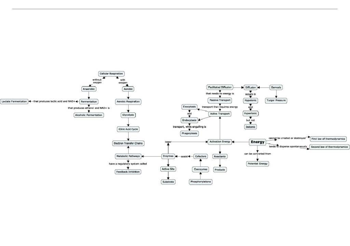 Jourdonmod 4: Module 4 Concept Map Overview and Key Ideas - Studocu