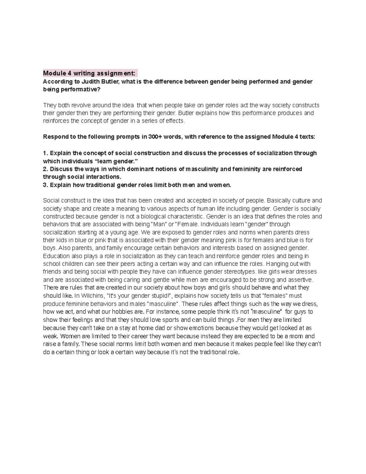 WS200 Module 4 Writing Assignment: Gender Performance vs. Performative ...