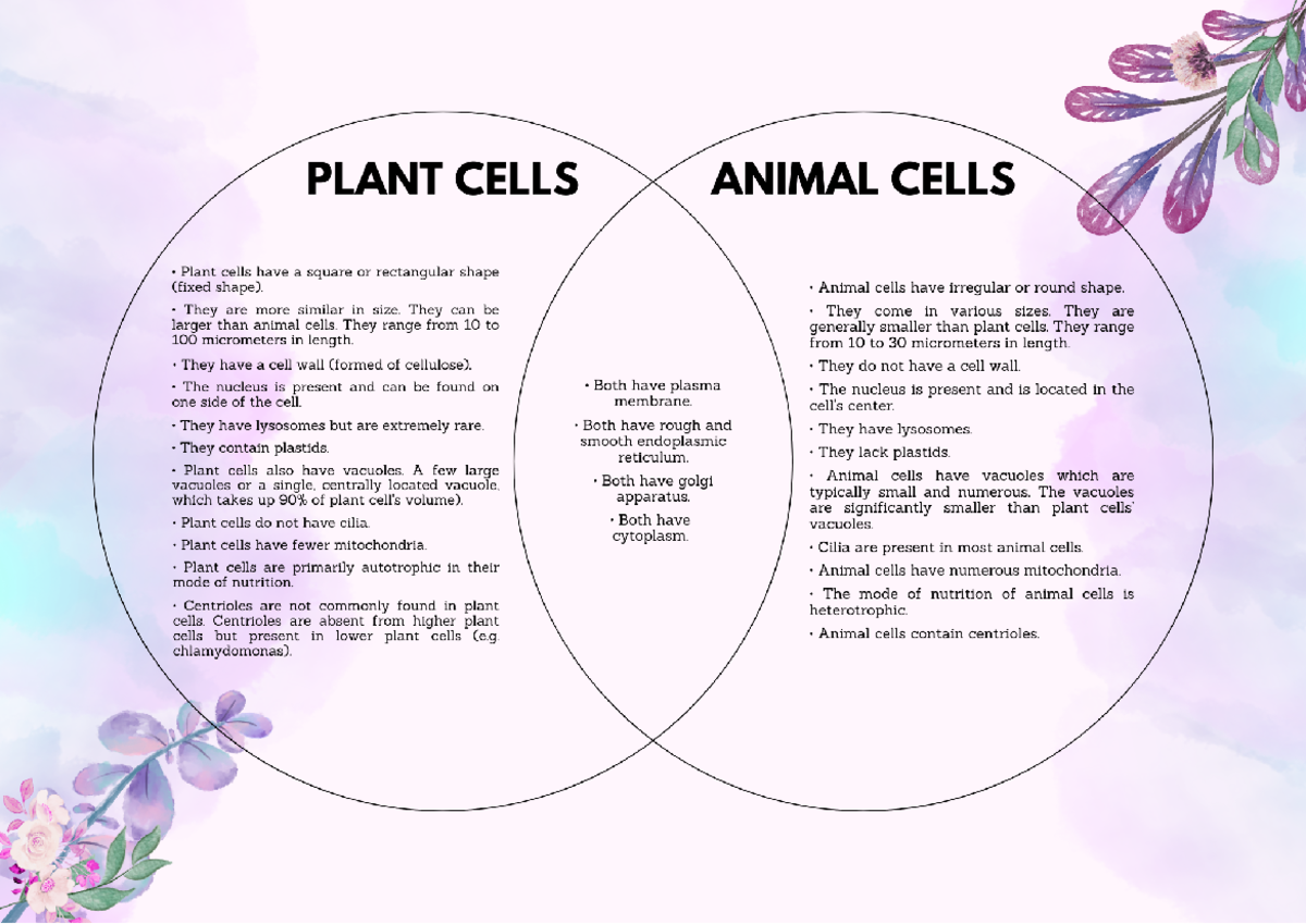 Differences Between Plant And Cells Venn Diagram - Infoupdate.org