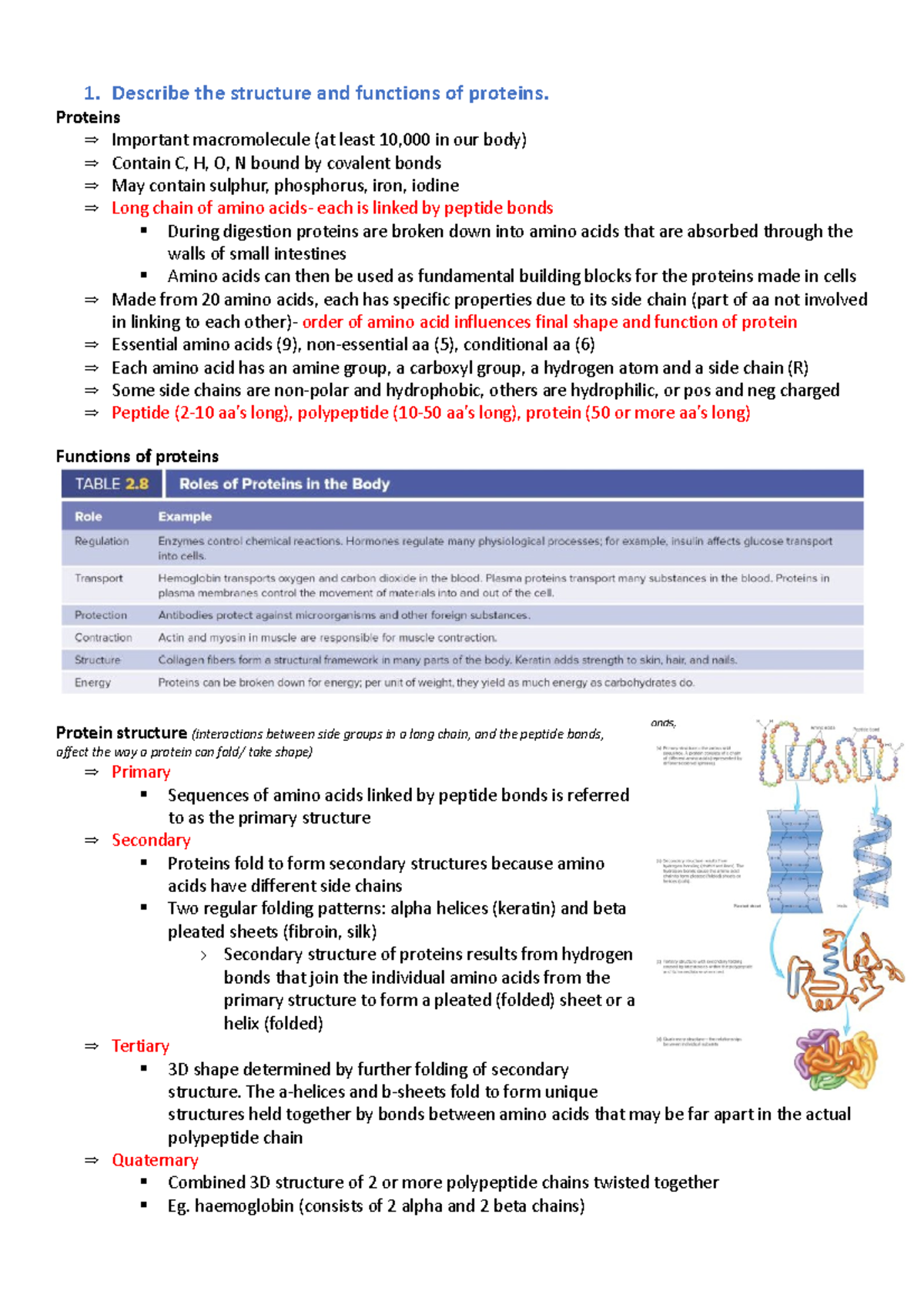 LO notes cell division and protein synthesis - 1. Describe the ...