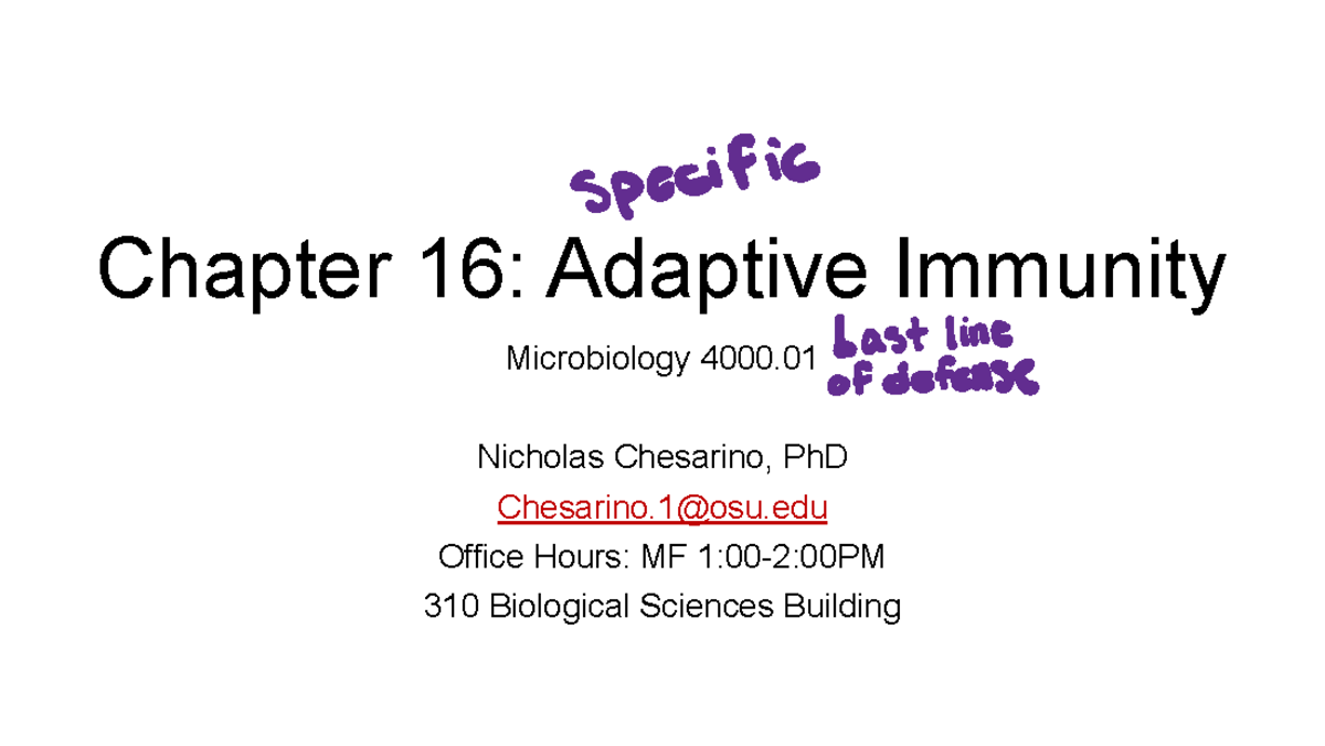 Chapter 16: Adaptive Immunity - Microbiology 4000.01 Lecture Review - Studocu