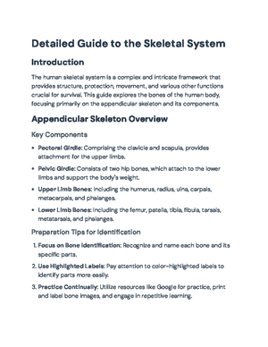 Overview of the Appendicular Skeleton: Anatomy and Functions - Overview of the Human Skeletal ...
