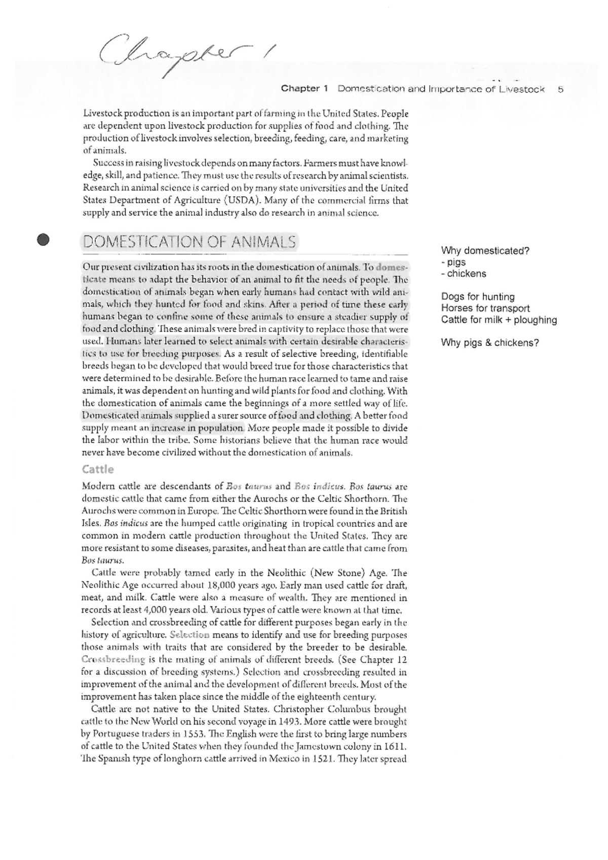 Chapter 1 - Lecture notes 1-48 - ANIG2613 - Studocu