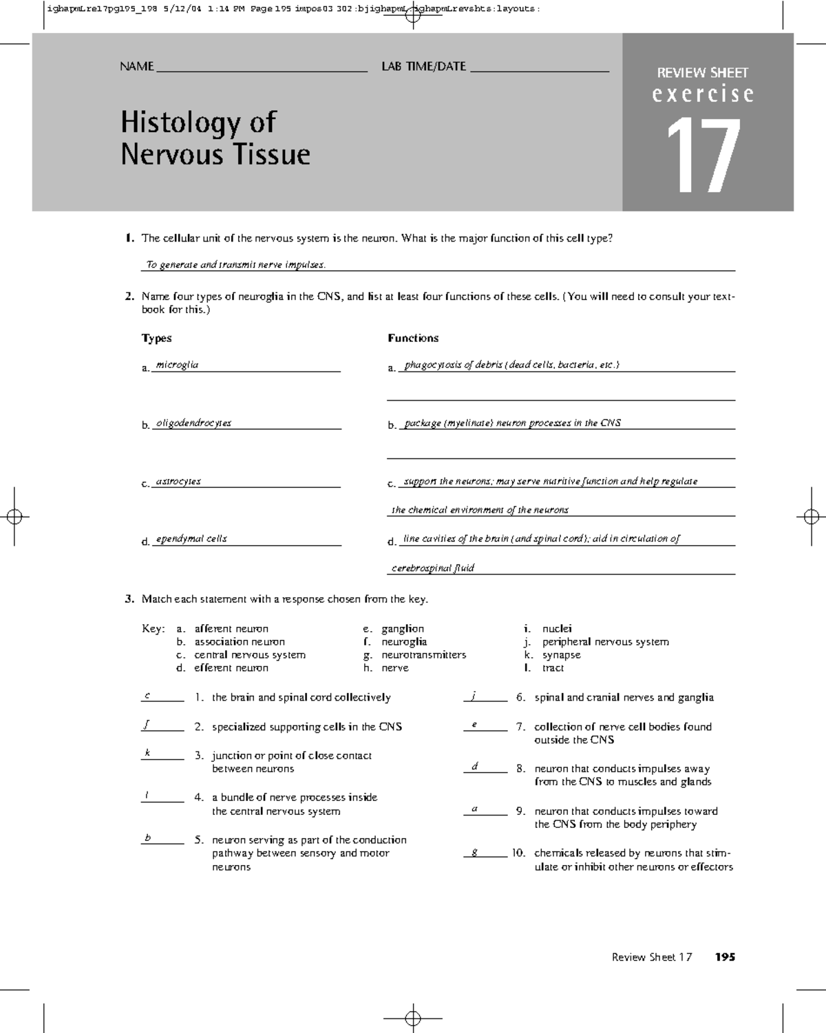 Nervehistology - description - REVIEW SHEET exercise 17 Histology of ...