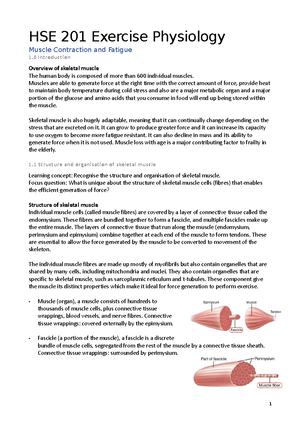 HSE201 Exercise Physiology Lab Report 4 Submission Template - Studocu