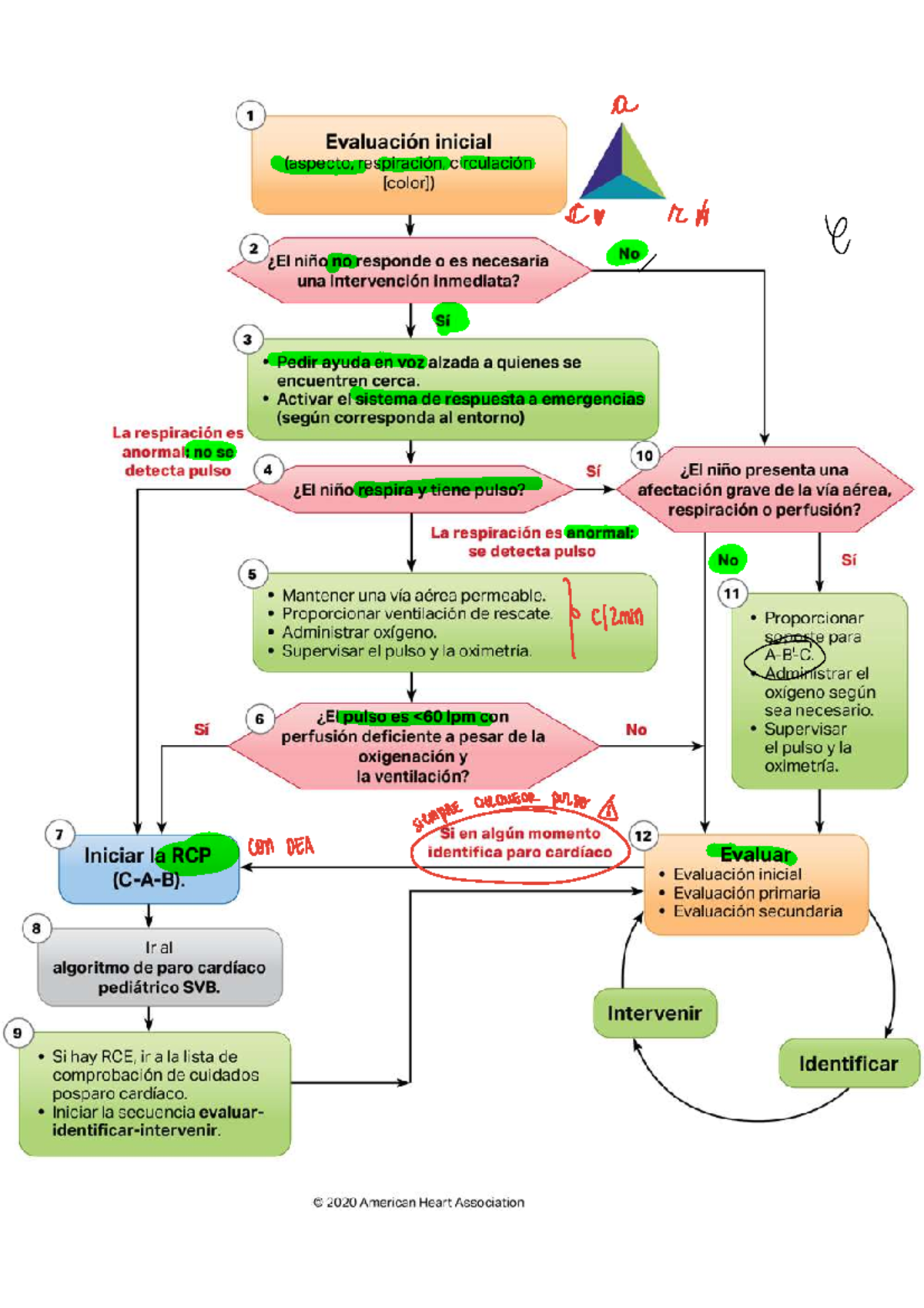 Esquemas PALS - a 1 Evaluación inicial (aspecto, respiración ...