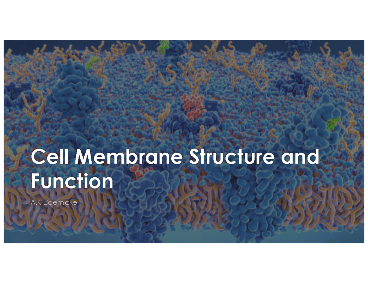 Cell Membrane Structure and Transport Mechanisms (BIO101) - Cell Membrane Structure and Function ...