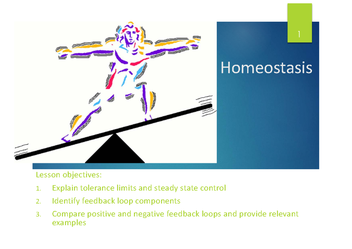 Homeostasis Lesson: Understanding Feedback Loops and Steady State ...