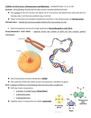 Science - Academic - Grade: 10 - High School - Canada - Studocu