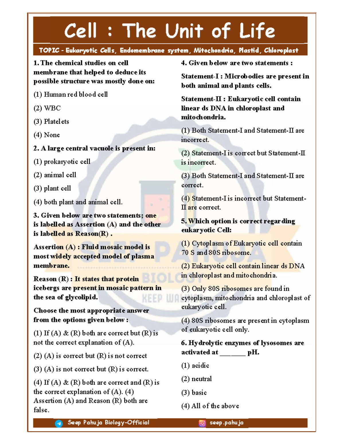 Cell DPP-2: Eukaryotic Cells & Organelles Overview - Studocu