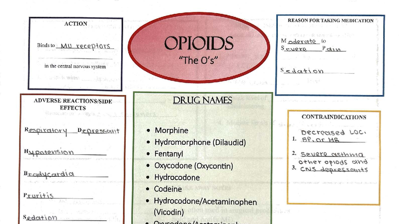 Pharm Maps Week 4: Opioids, NSAIDs, and Herbal Medications Overview ...