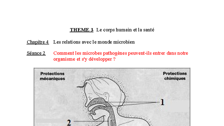 SVT - TH3 Chap 4: Relations avec le monde microbien - Studocu