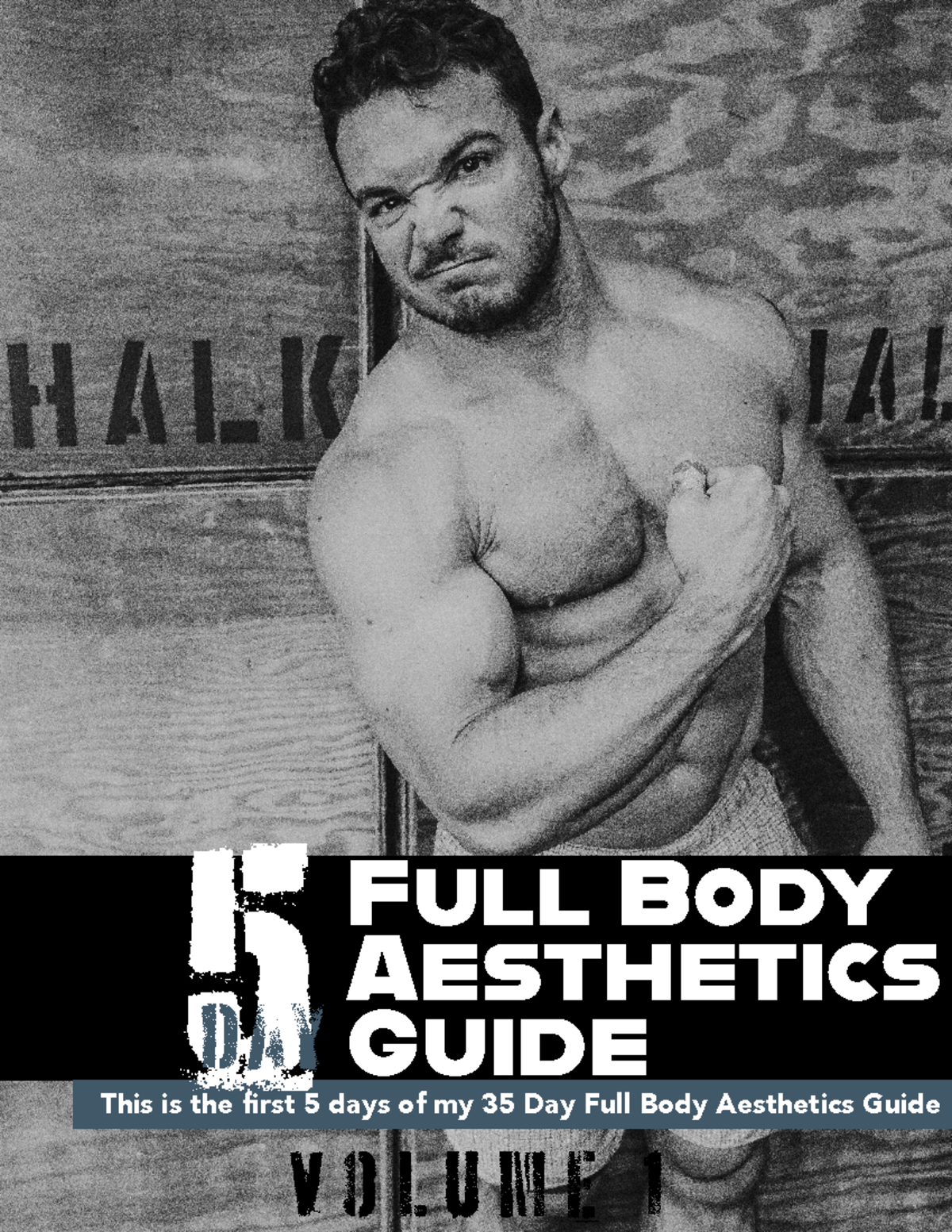 5-Day Full Body Aesthetics Guide: Your Path to Optimal Fitness - Studocu