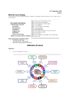 [Solved] Give me an example of a first class scientific abstract ...